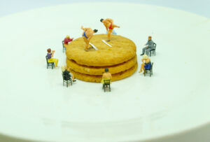 Sumo or Judo: how Japanese firms embrace or exclude diverse staff ...